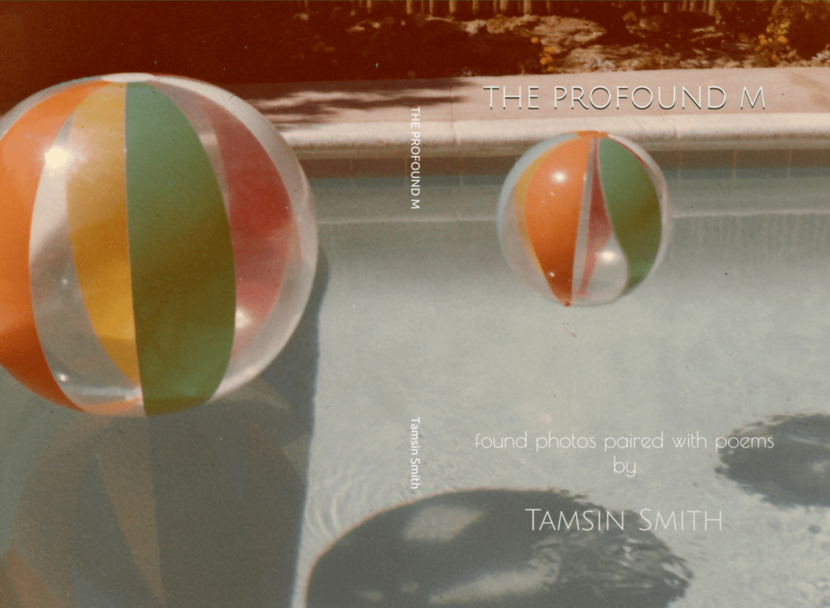 TAMSIN SMITH | Art & Politics